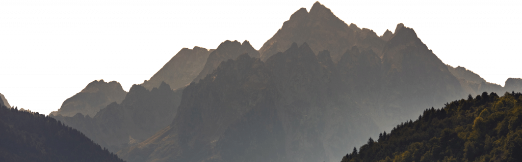 Group Study | Missionary Parish - Center for New Evangelization