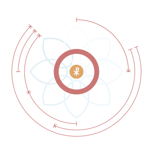 Missionary Parish - Center for New Evangelization